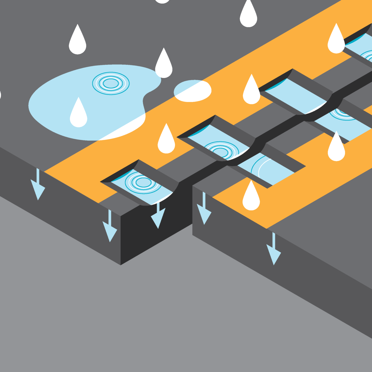 J-Band’s Sustainability Assessment - J-Band